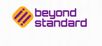 BEYOND STANDART